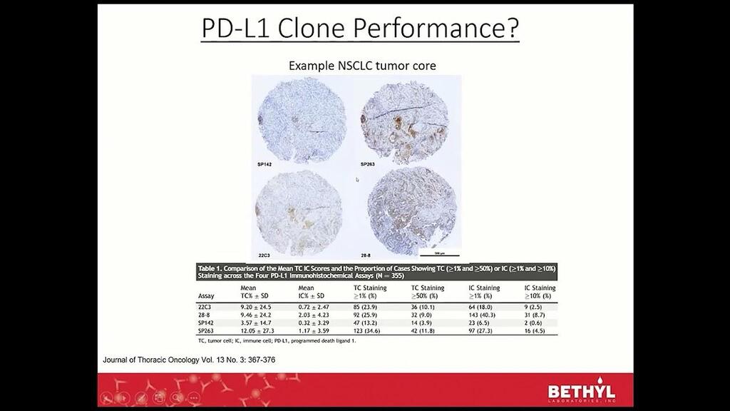 Antibody Validation for Successful Immunohistochemistry and Multiplex Immunofluorescence