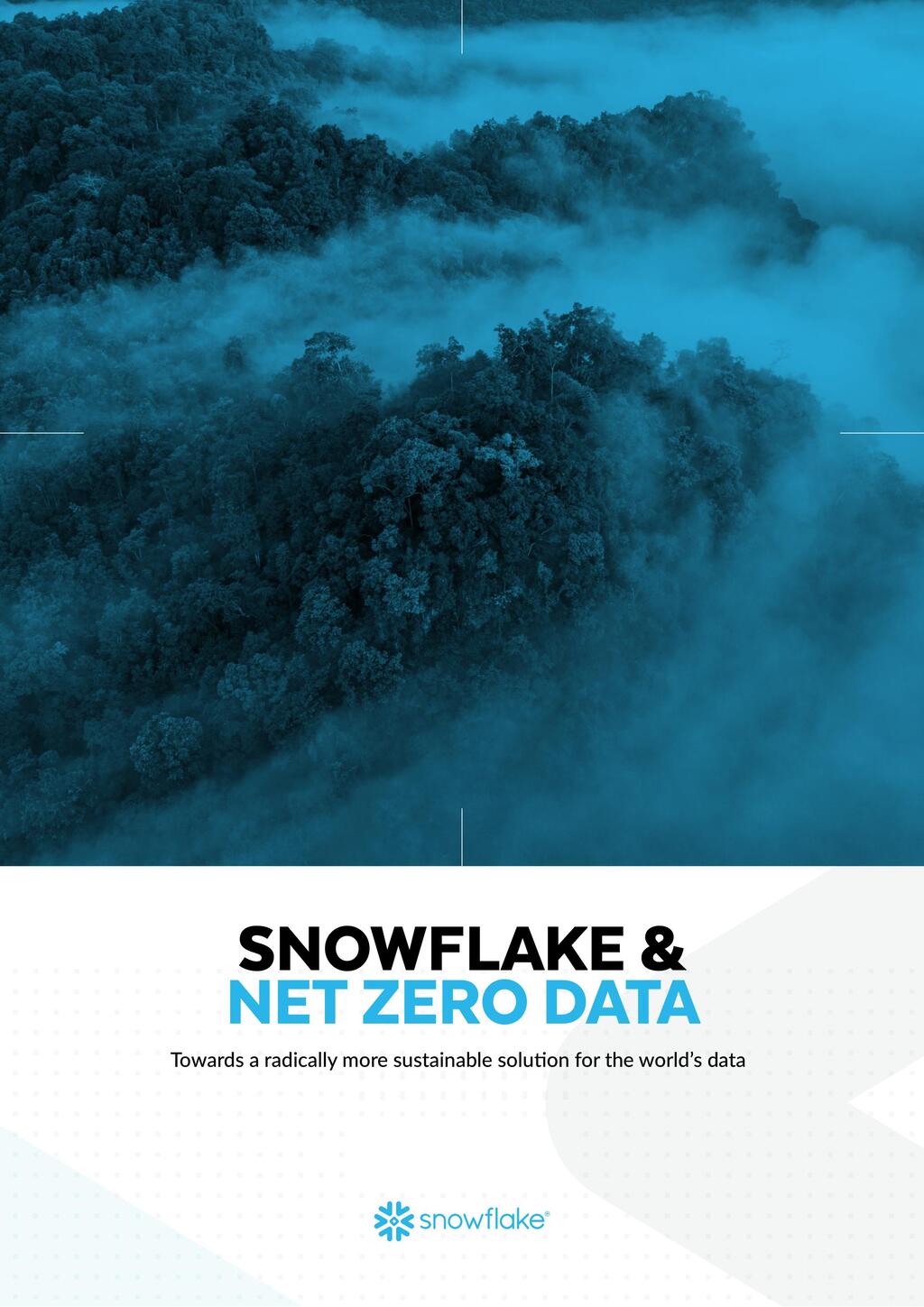 Net Zero Data Whitepaper