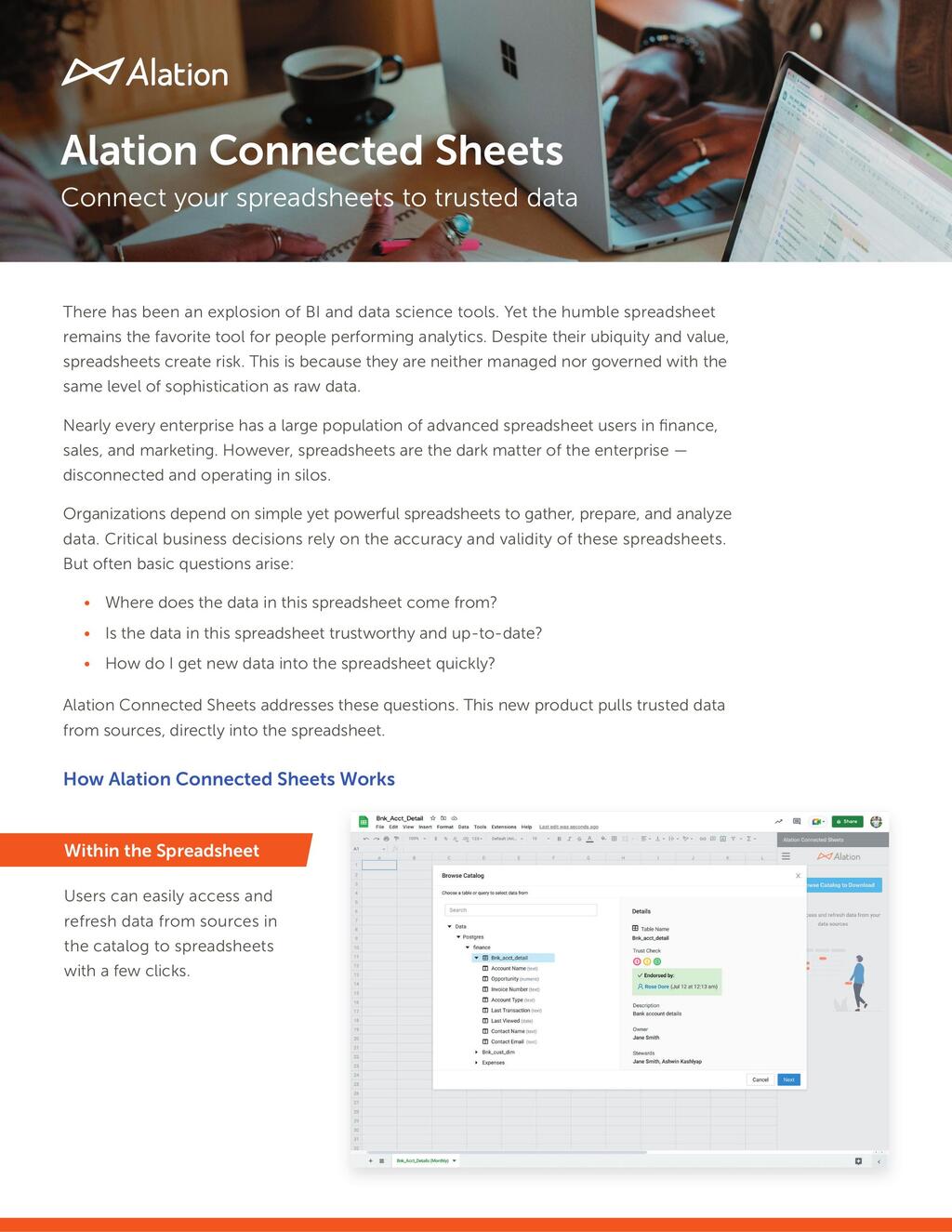Alation Connected Sheets