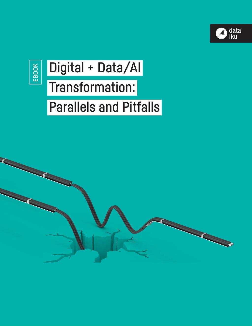 Digital + Data/AI Transformation: Parallels and Pitfalls